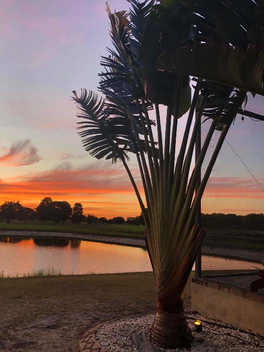 About Us | Save Sun City Center